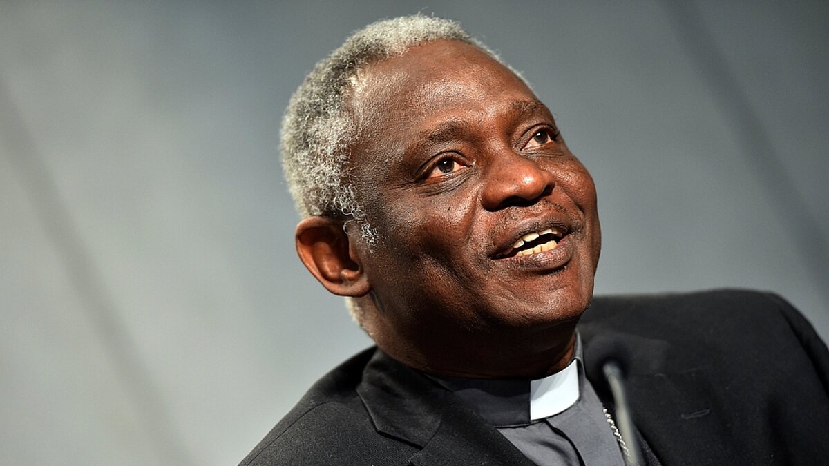 Kardinal Turkson zur Entwicklungspolitik des Vatikan | DOMRADIO.DE