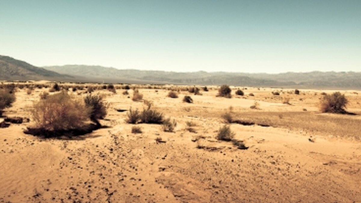 Ein Interview mit Markus Wolter (Experte für Landwirtschaft beim ...