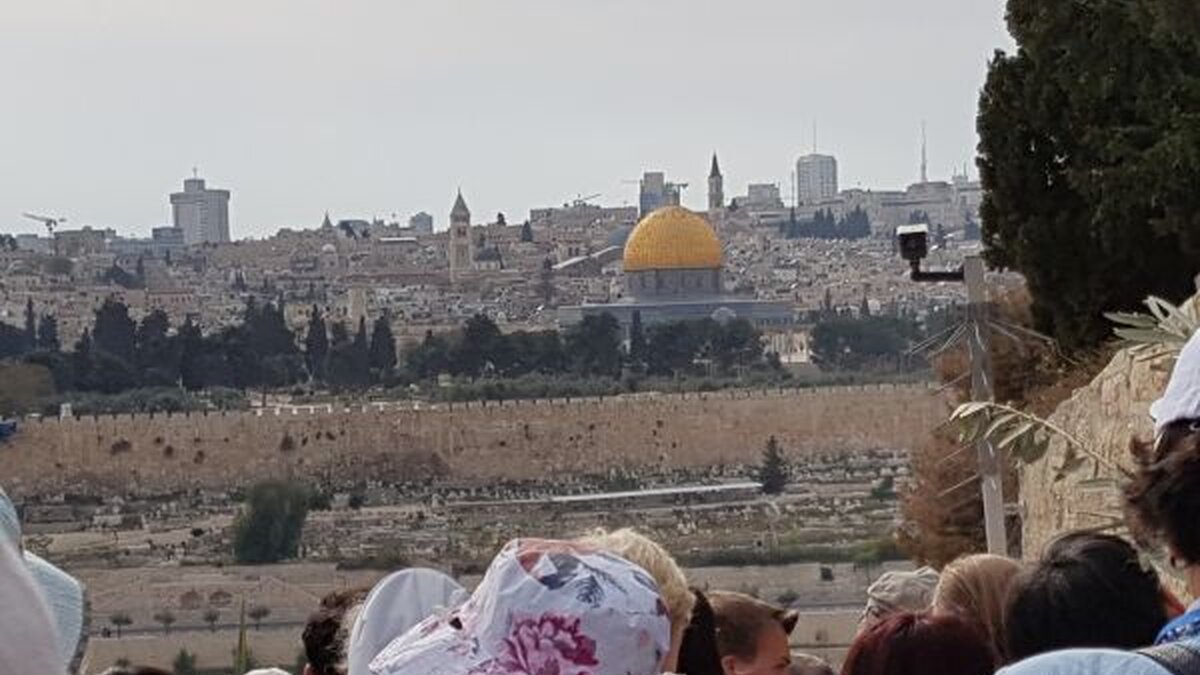 Heilige Woche eröffnet | DOMRADIO.DE