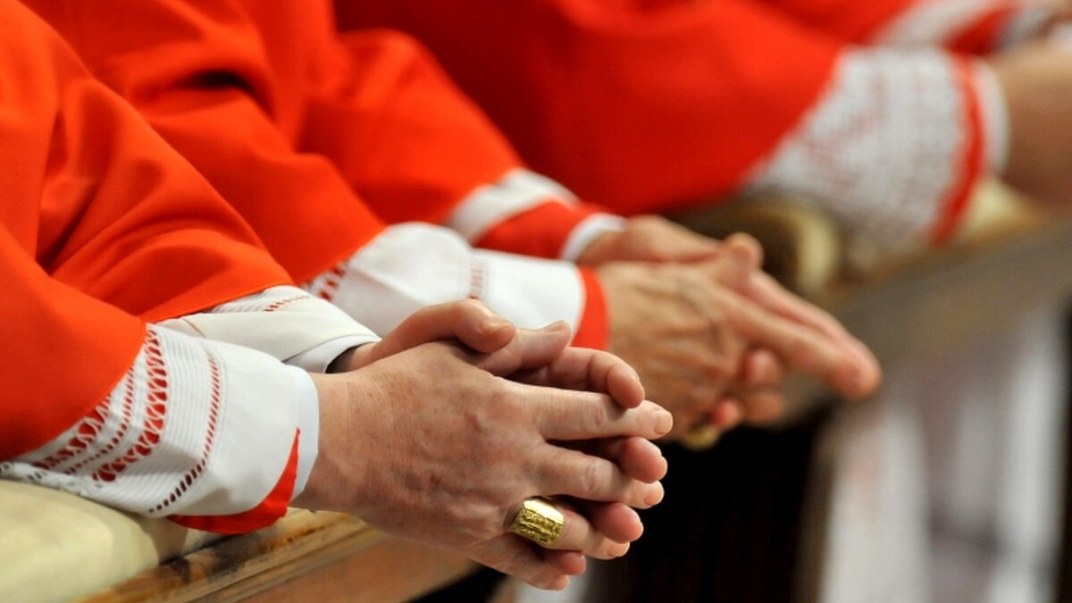 Die 21 neuen Kardinäle vorgestellt in Kurzporträts | DOMRADIO.DE