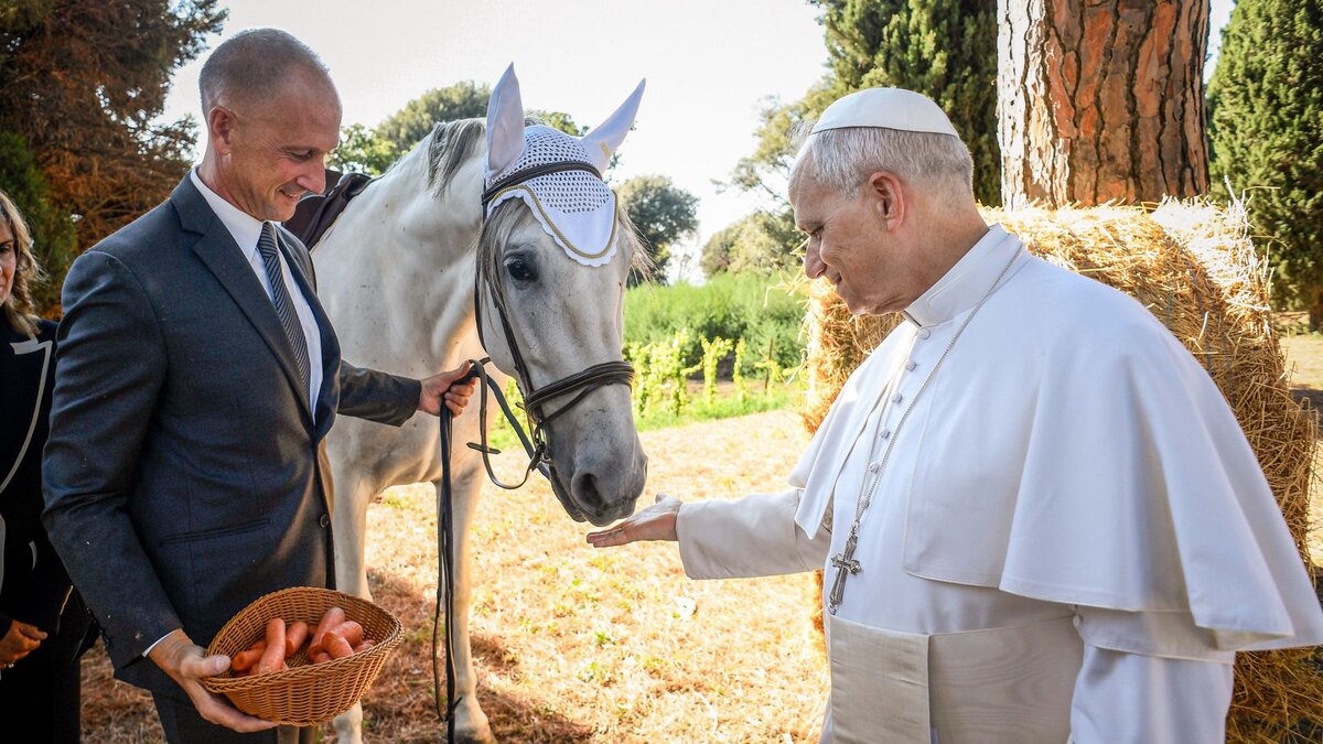 Kardinal Dolan sieht Leo nicht bloß als "Fortsetzer" von Franziskus ...