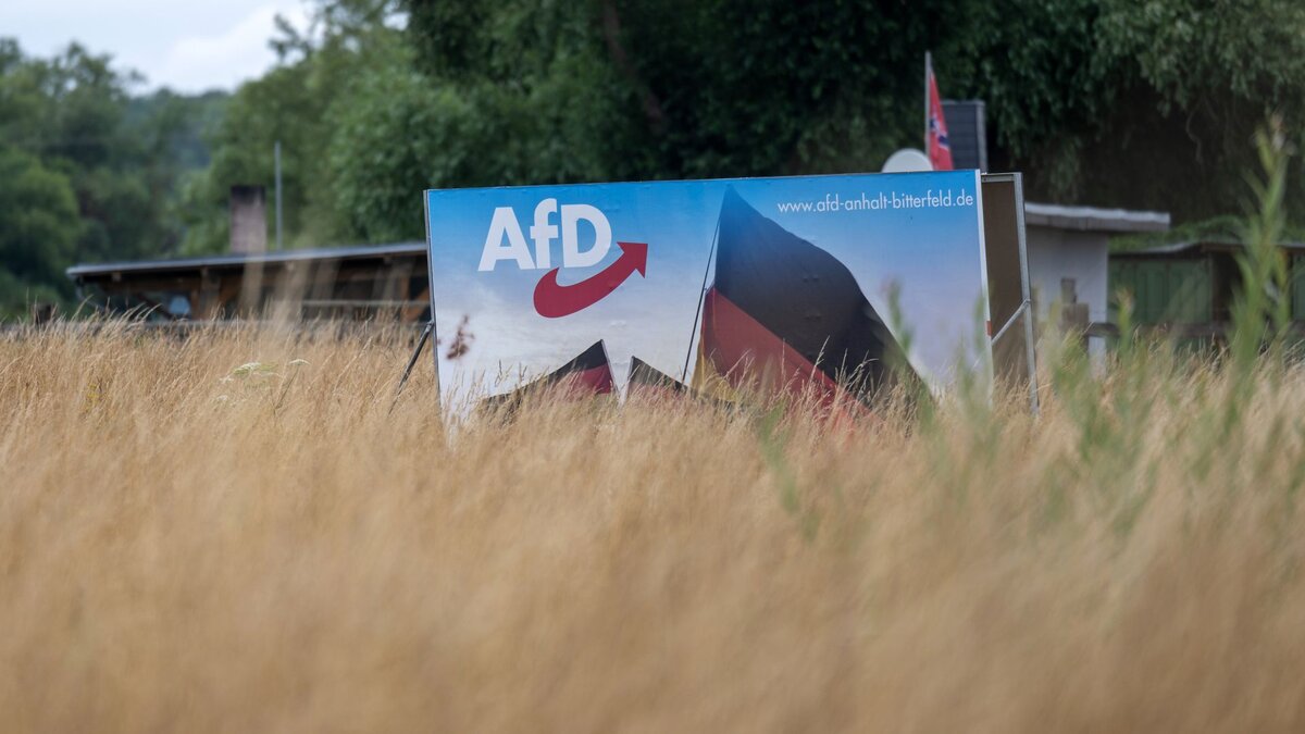 Verbände begrüßen "klare Kante" der Bischöfe zur AfD | DOMRADIO.DE