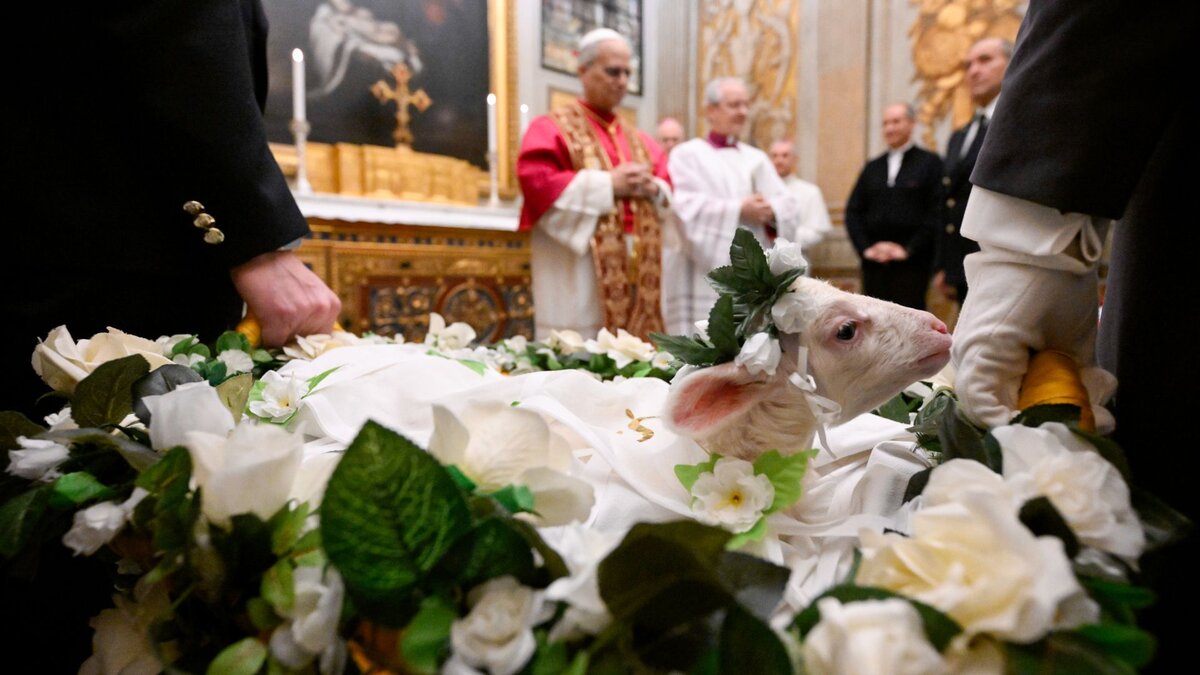 Papst begrüßt Agnes-Lämmer im Vatikan | DOMRADIO.DE