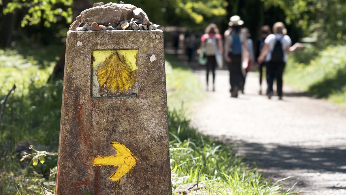 Datenbank gibt Überblick zu mittelalterlichen Pilgerzeichen - DOMRADIO.DE