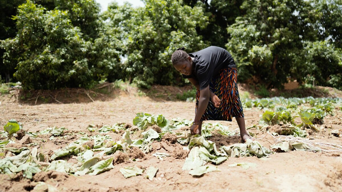 Pruin warnt vor weiteren Einschnitten bei der Entwicklungshilfe ...
