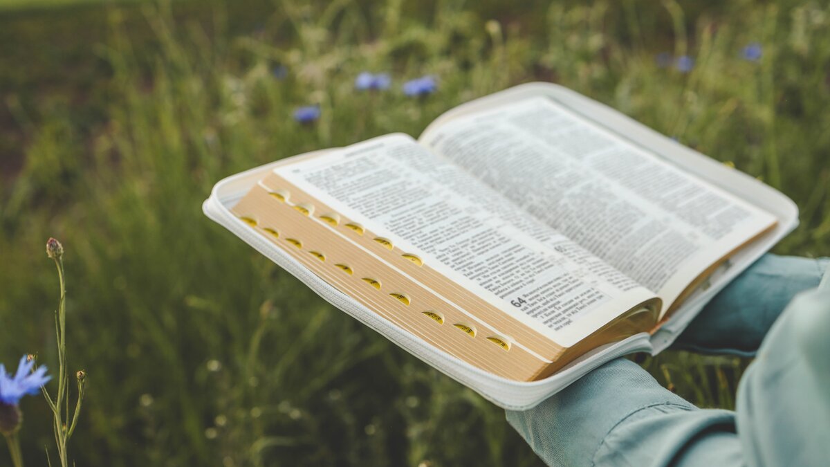 Ostfriese übersetzt alle Psalmen der Bibel ins Plattdeutsche | DOMRADIO.DE