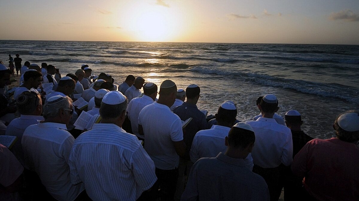 Zentralrat der Juden: Vielfalt des Judentums kennenlernen - DOMRADIO.DE