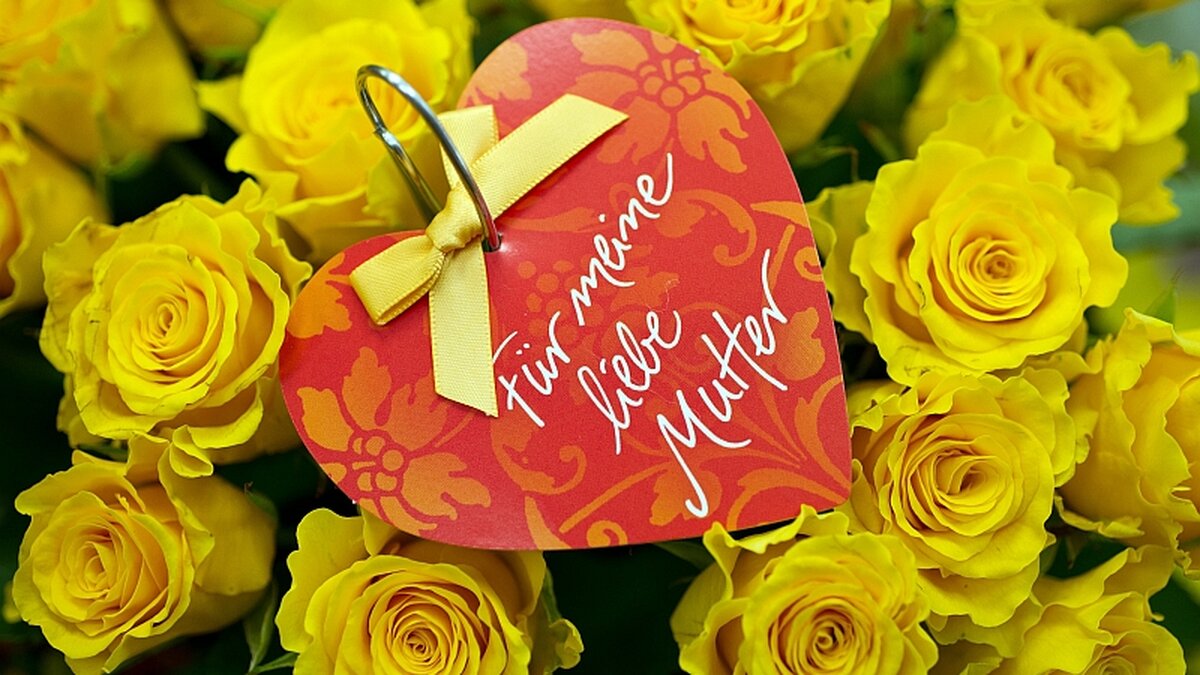 Seit mehr als 100 Jahren wird der Muttertag gefeiert - DOMRADIO.DE