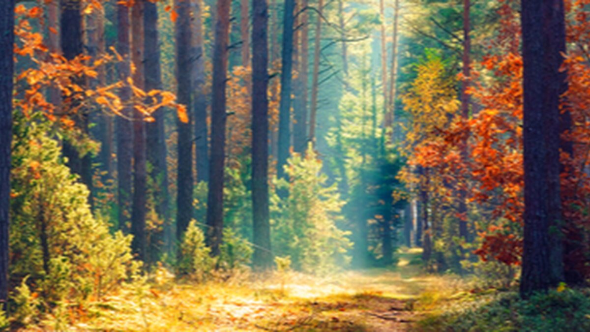 Ein Interview mit Susanne Freitag (Business Coach und ...